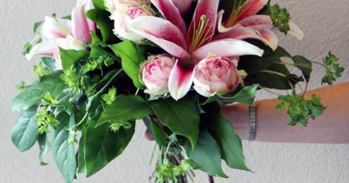 Banff MountainTop Flowers | Banff & Lake Louise Tourism