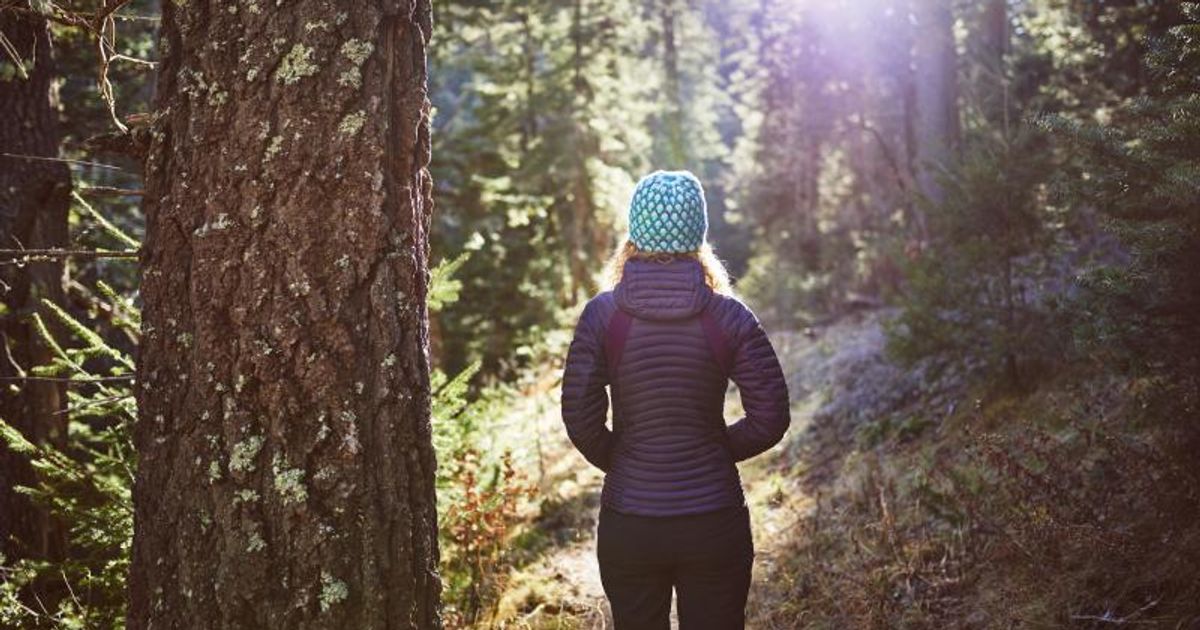 Forest Fix | Banff & Lake Louise Tourism