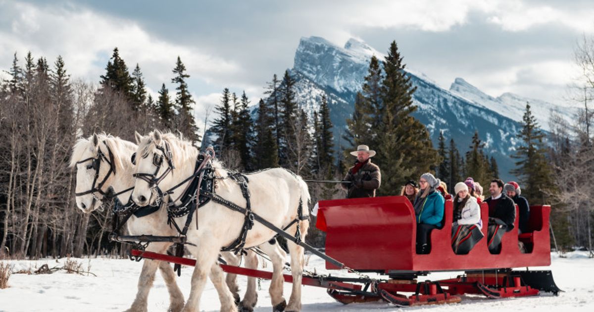 Banff Trail Riders | Banff & Lake Louise Tourism
