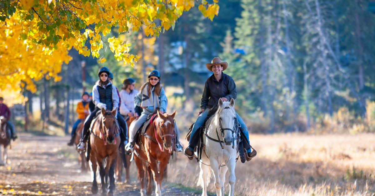 Banff Trail Riders | Banff & Lake Louise Tourism