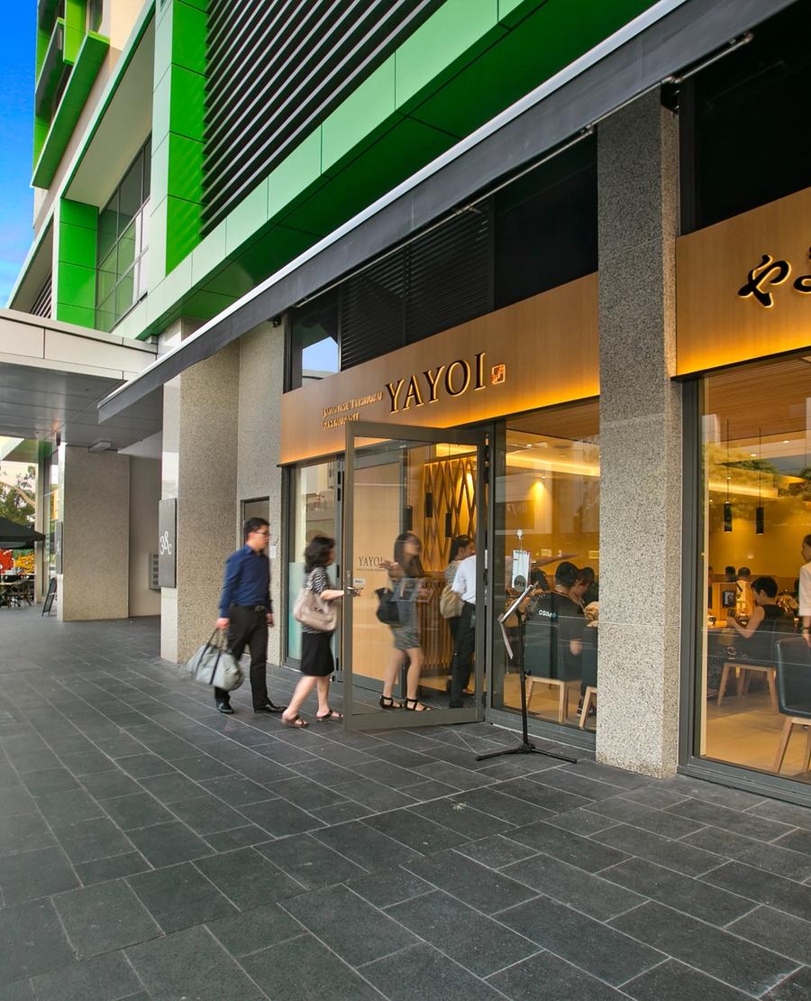 black bear creative ltd