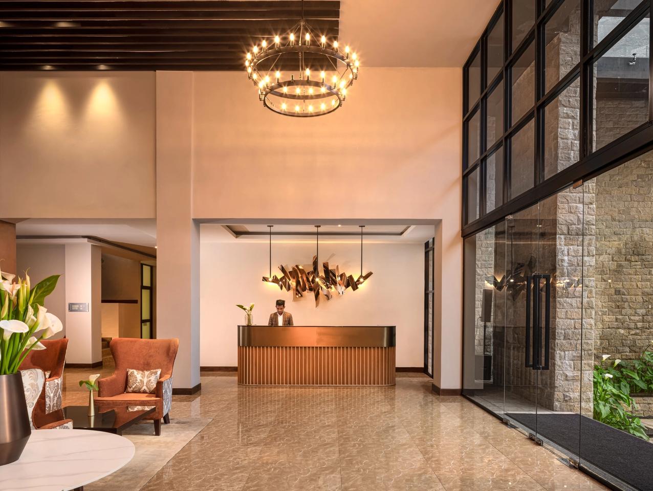 black bear creative ltd