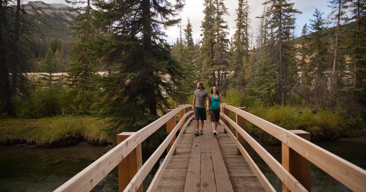 Easy Sightseeing Walks and Hikes in Banff | Banff & Lake Louise Tourism