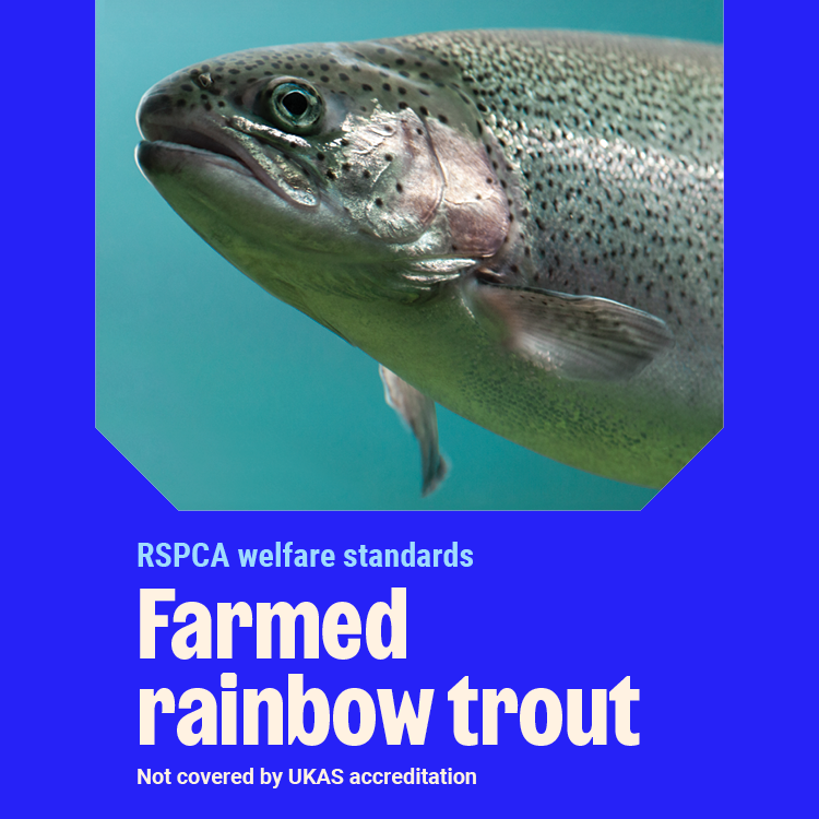 RSPCA Welfare standards for producers and supply chain