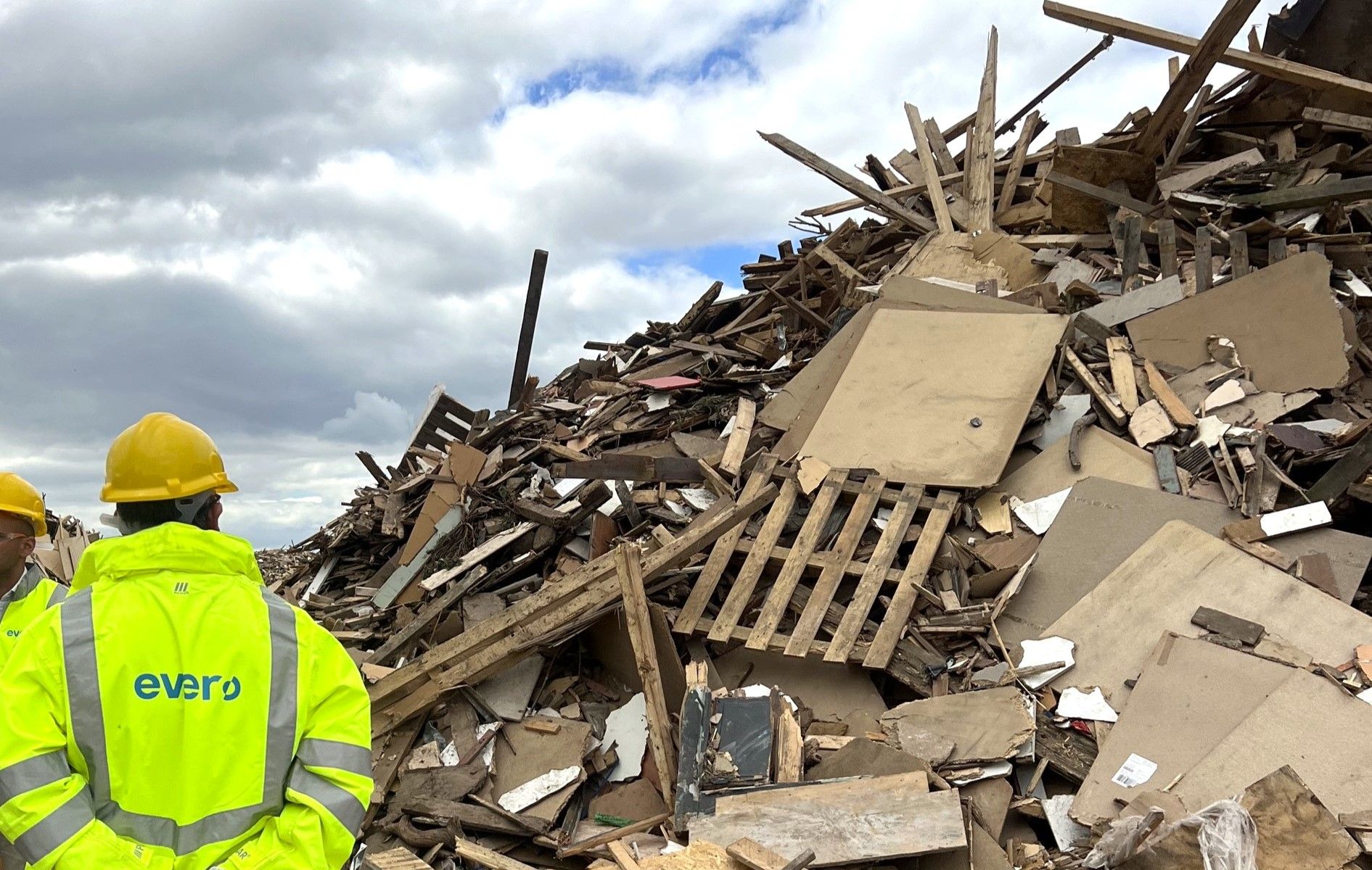 Understanding Biomass: A Renewable and Sustainable Energy Source