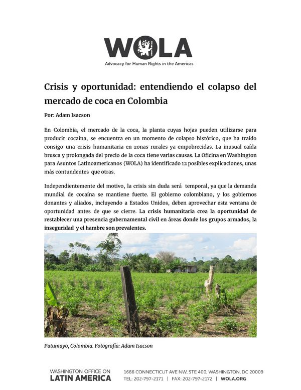 Crisis y oportunidad: entendiendo el colapso del mercado de coca en Colombia - International ...
