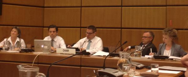 Vienna NGOs: Taking responsibility for the future of world drug policy ...