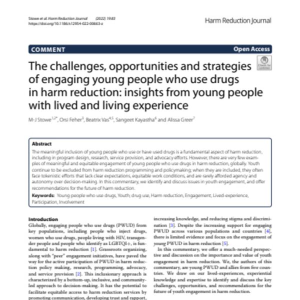 The challenges, opportunities and strategies of engaging young people ...