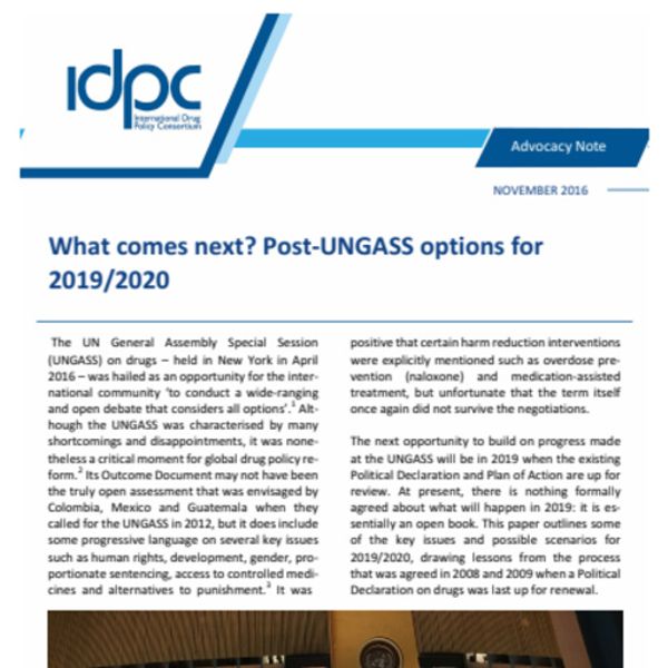 IDPC: What comes next? Post-UNGASS options for 2019/2020 ...