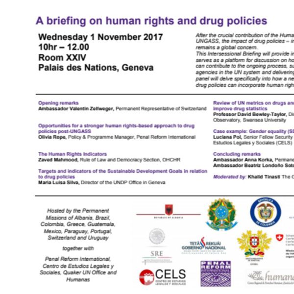 A briefing on human rights and drug policies - International Drug ...