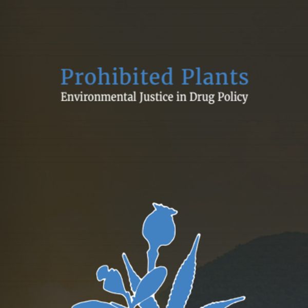Prohibited plants: Environmental justice in drug policy - International ...