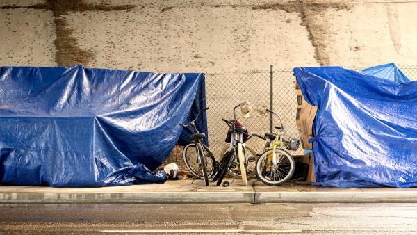 Don’t blame decriminalisation for the failure of a hundred years of ...