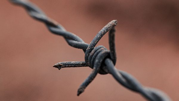 Human rights in the Philippines: The continuing detention of Senator ...