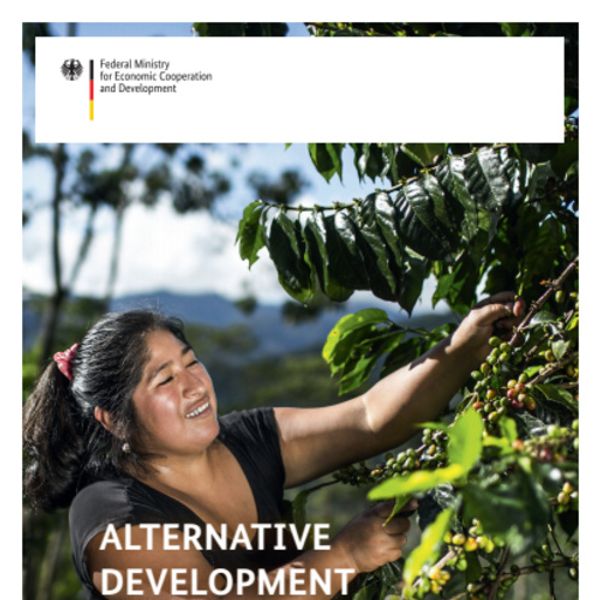 Alternative development: Sustainable change through development ...