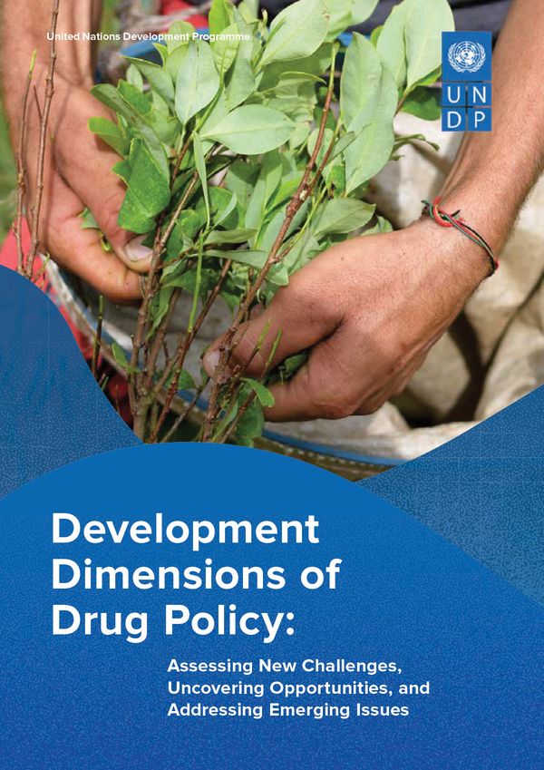 Development dimensions of drug policy: Assessing new challenges ...