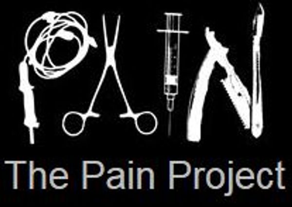The Pain project - International Drug Policy Consortium (IDPC)