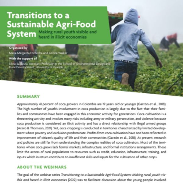 Transitions to a sustainable agri-food system: Making rural youth visible and heard in illicit ...