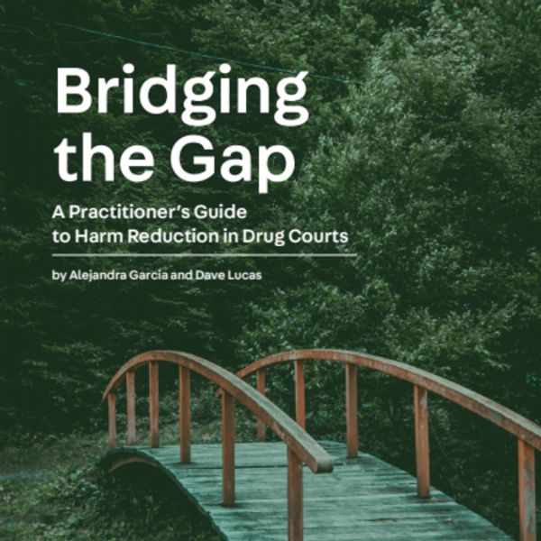 Bridging the Gap: a practitioner’s guide to harm reduction in drug ...