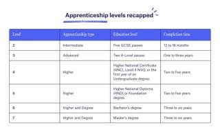What Are Apprenticeship Levels? An Apprenticeship Guide - Multiverse