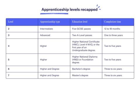 What Are Apprenticeship Levels? An Apprenticeship Guide - Multiverse