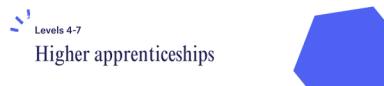 What Are Apprenticeship Levels? An Apprenticeship Guide - Multiverse
