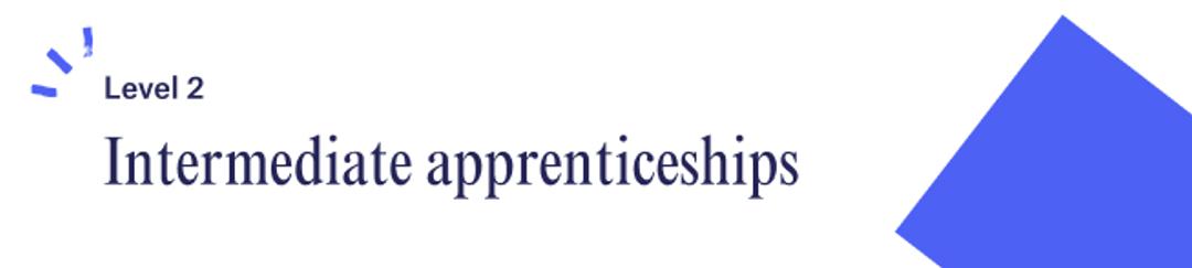 What Are Apprenticeship Levels? An Apprenticeship Guide - Multiverse