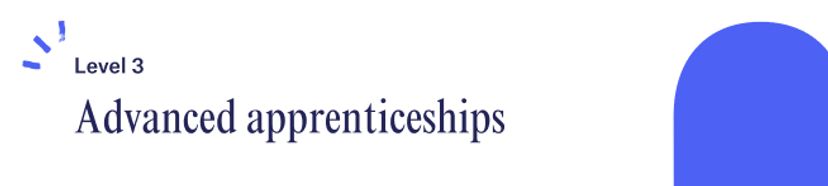 What Are Apprenticeship Levels? An Apprenticeship Guide - Multiverse