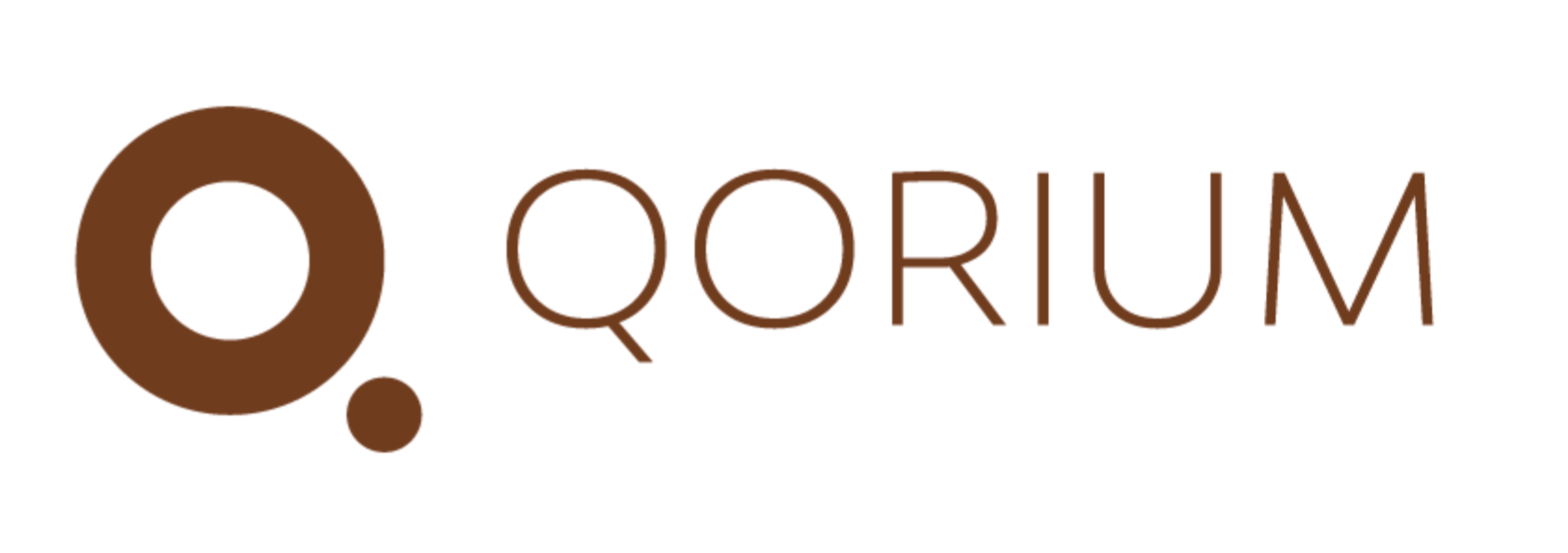 Qorium lands additional funds from Brightlands Venture Partners and ...
