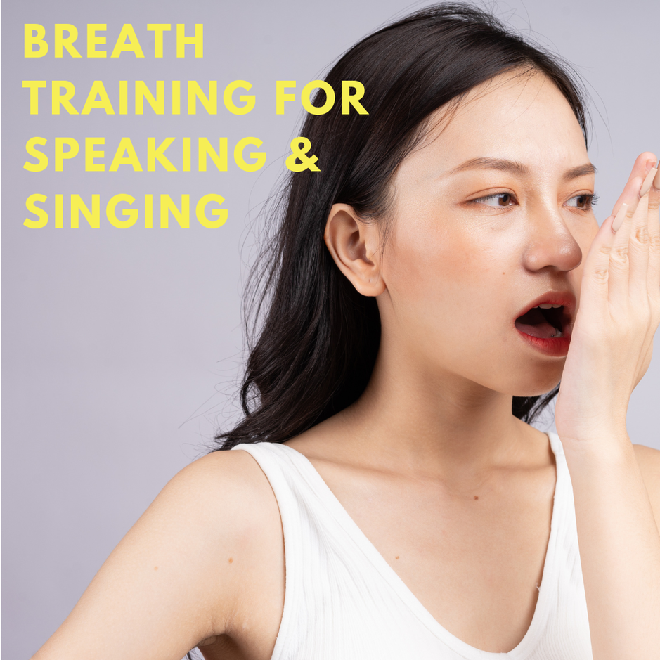 The Voice Explained – Courses