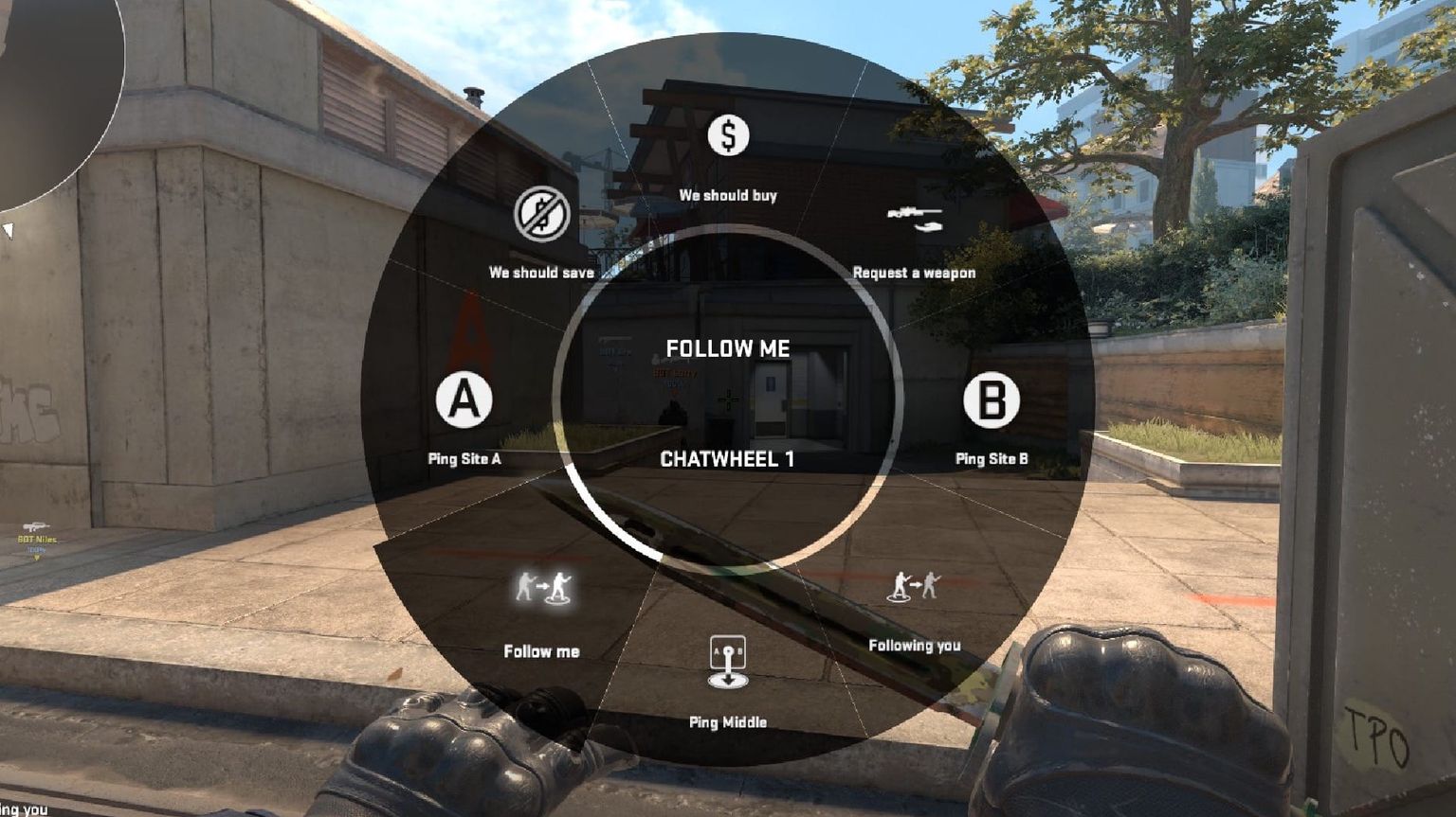 Commands for bots in CS2 - Read our guide here - BLAST