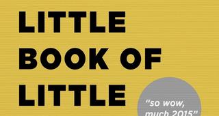 HTML and CSS Frameworks, Coding Guidelines, Quality Control: The Little Book of Little Books ...