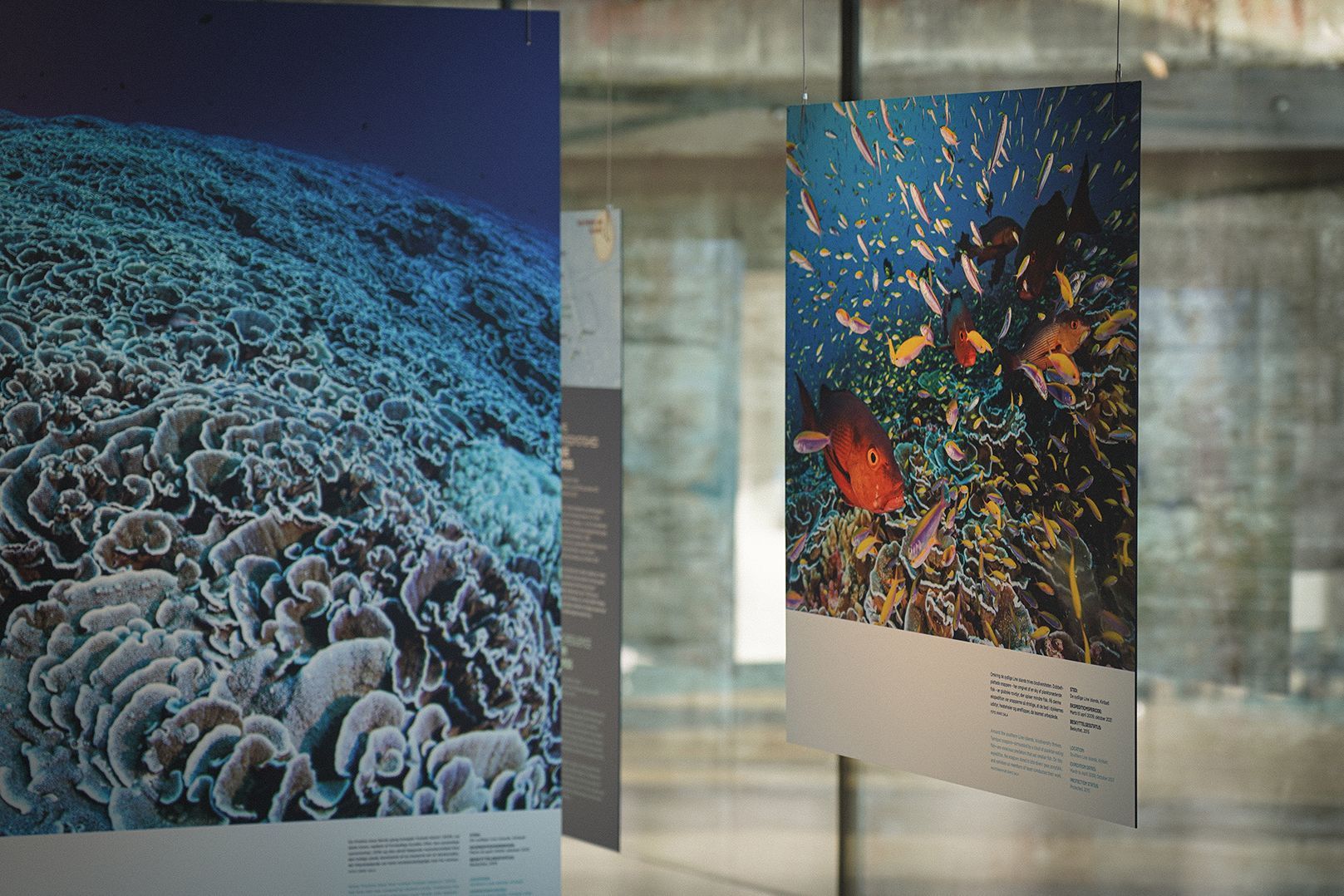 Pristine Seas: Exhibition That Brings the Ocean Back – Discover the ...