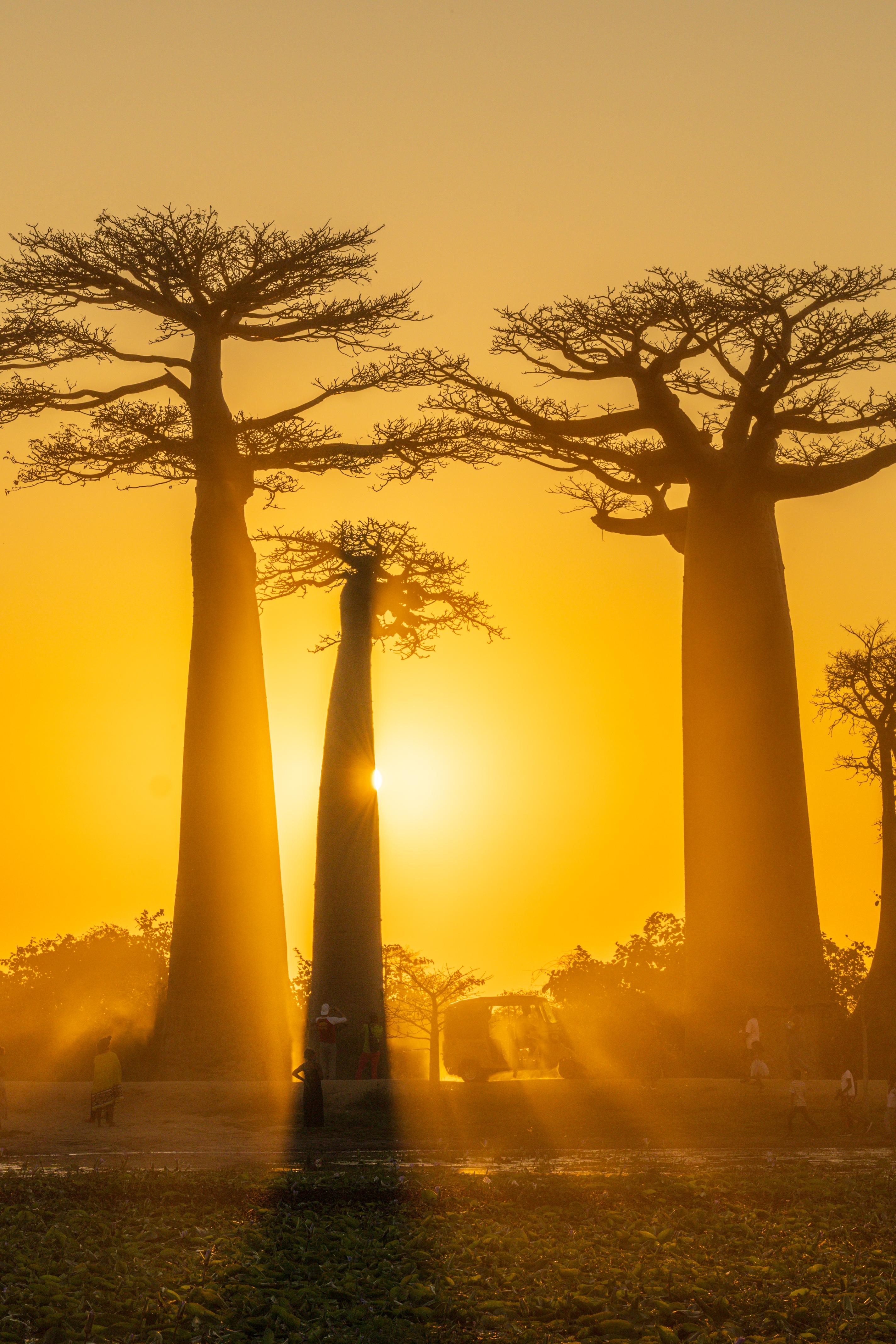 Conservation International Ventures, LLC | Conservation International
