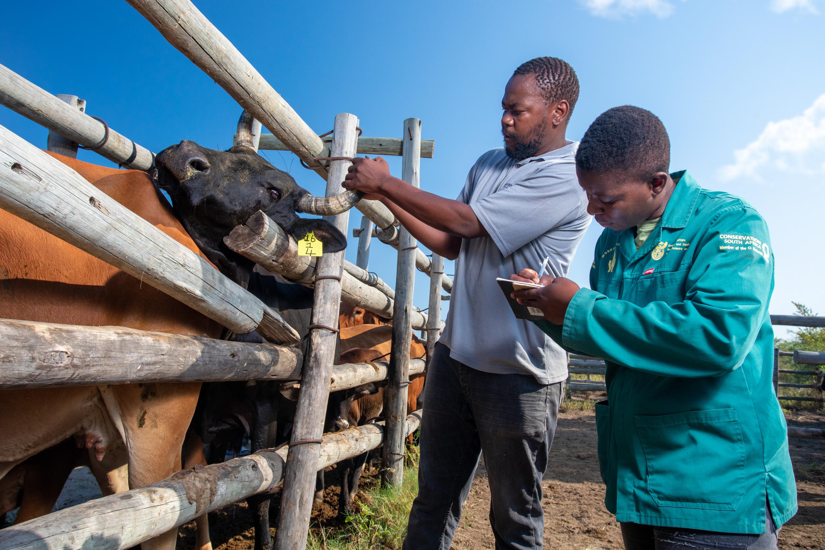 Conservation International Ventures, LLC | Conservation International
