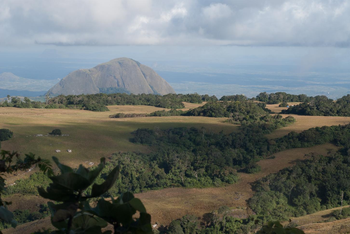 Effective protection of Mozambique’s Miombo woodlands and marine hotspot conservation areas ...