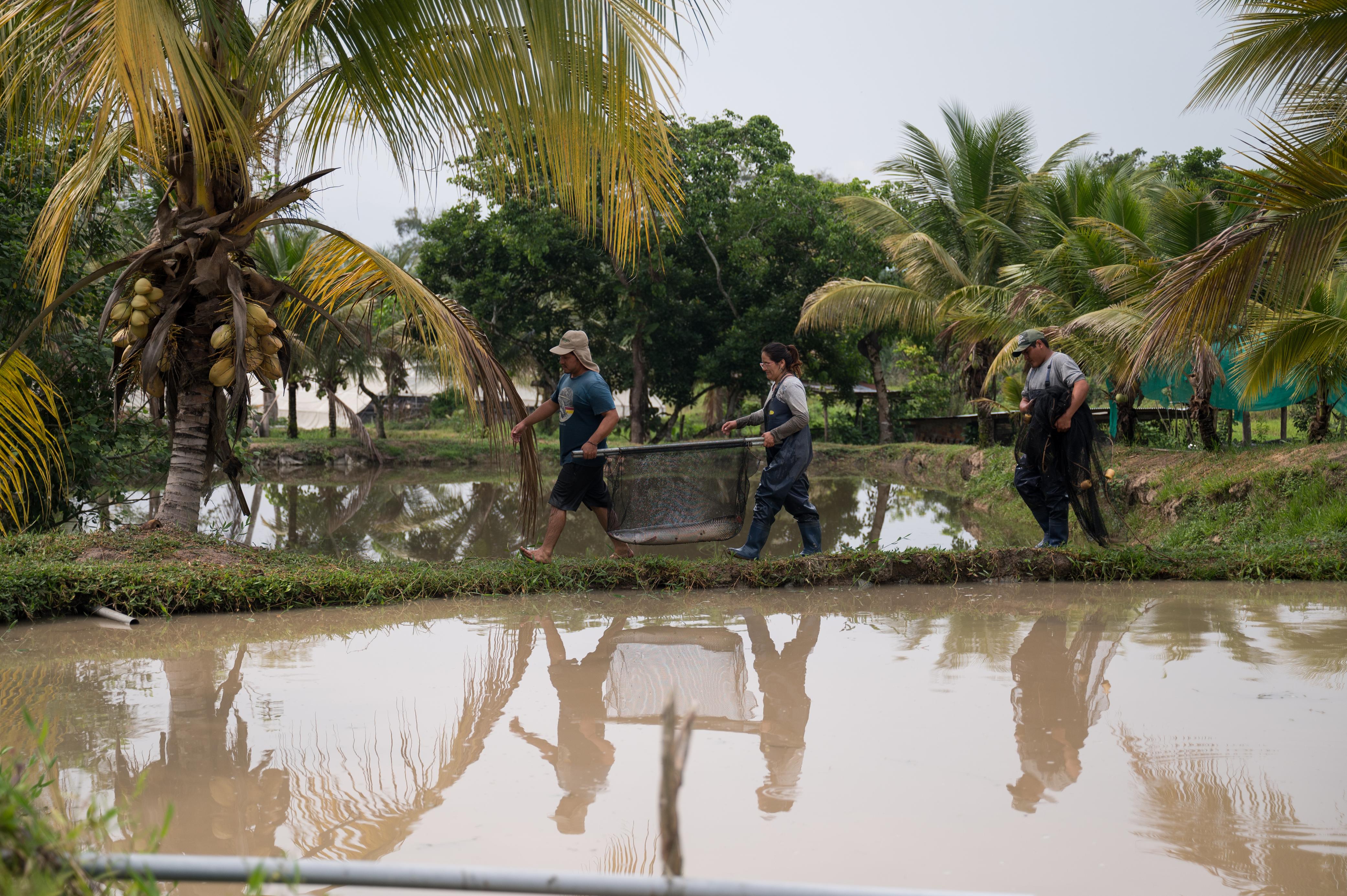 How a family farm in the Amazon landed on the world’s best menu ...