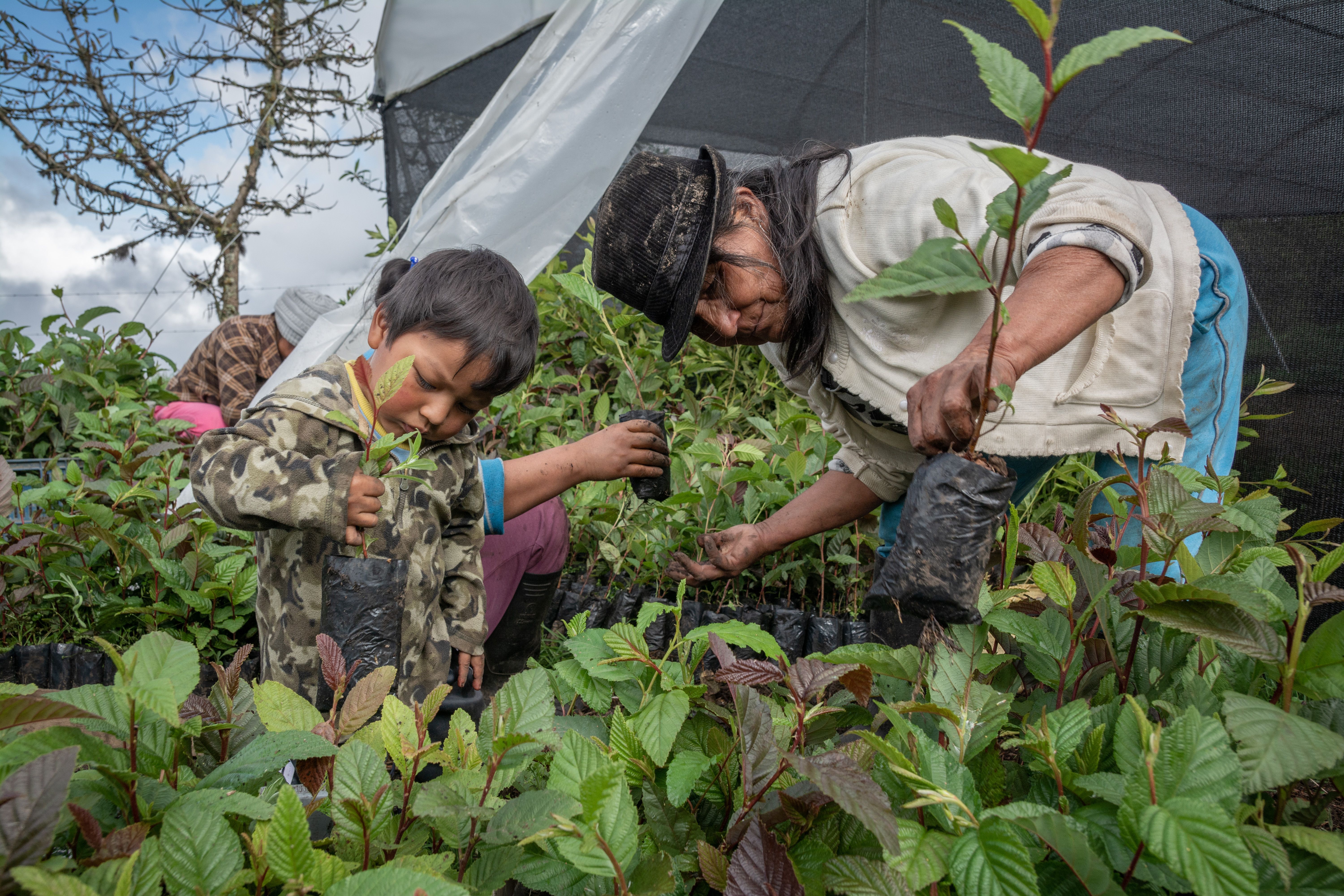 Critical Ecosystem Partnership Fund | Conservation International