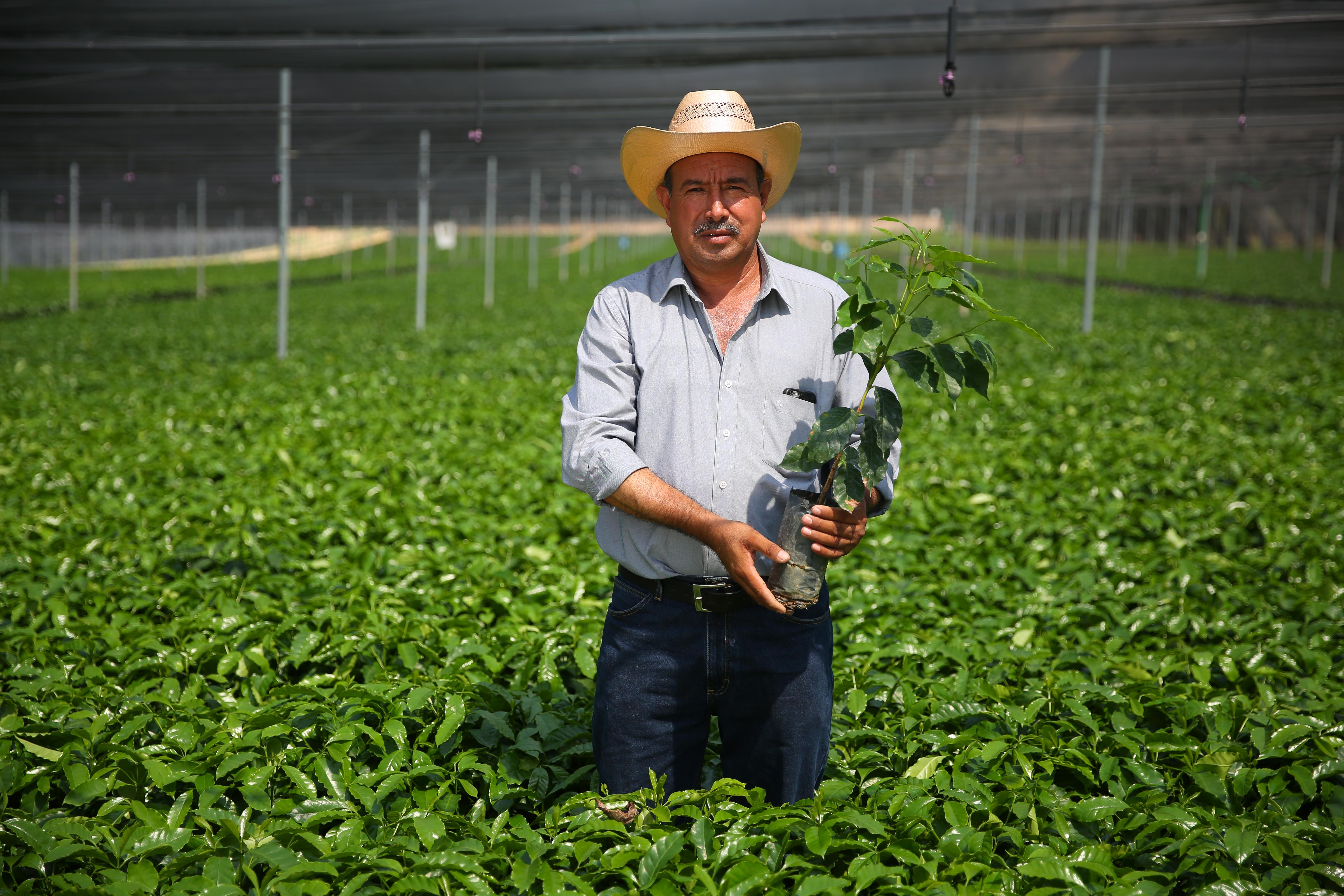 100 Million Trees initiative | Conservation International