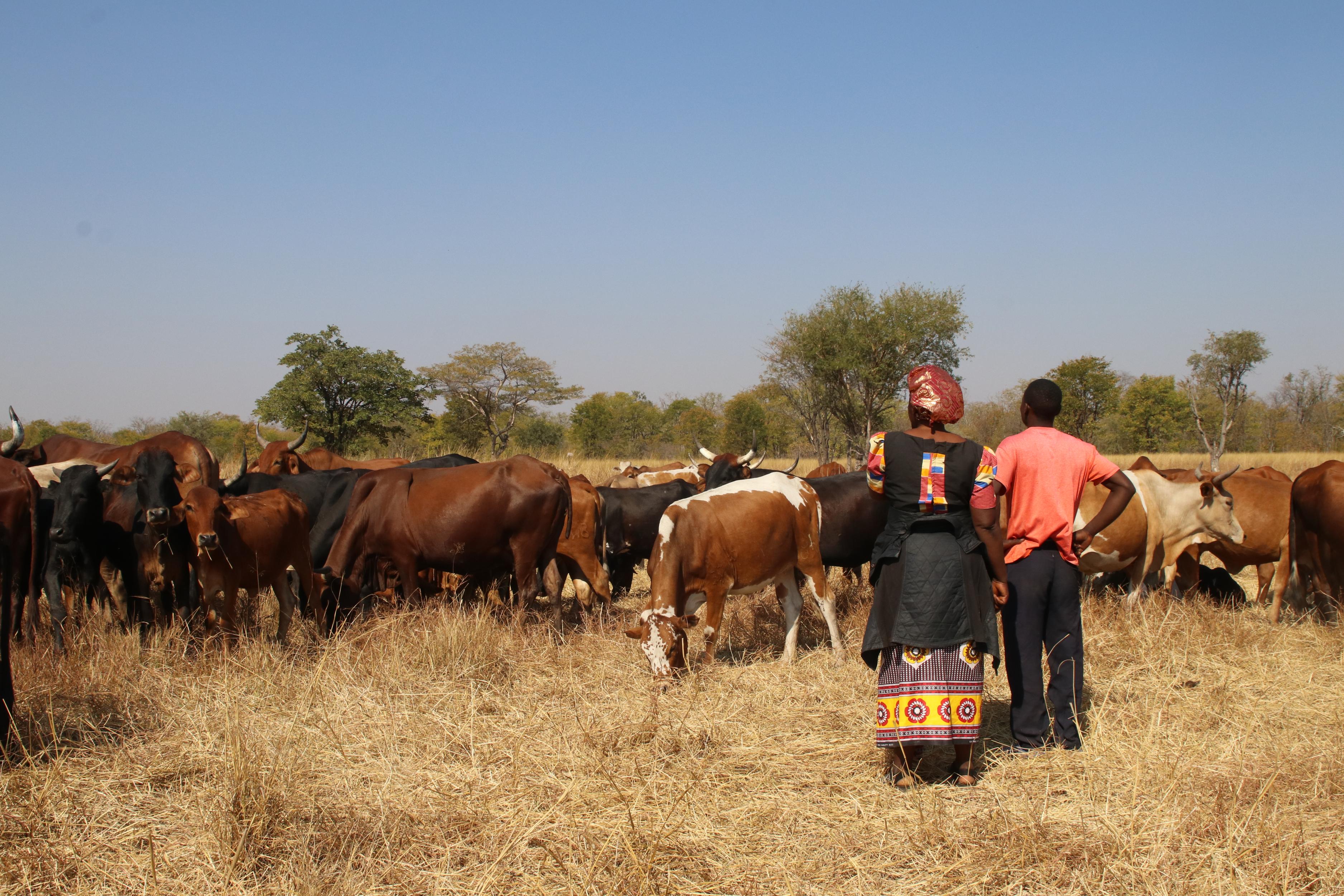 Home | Conservation International Botswana