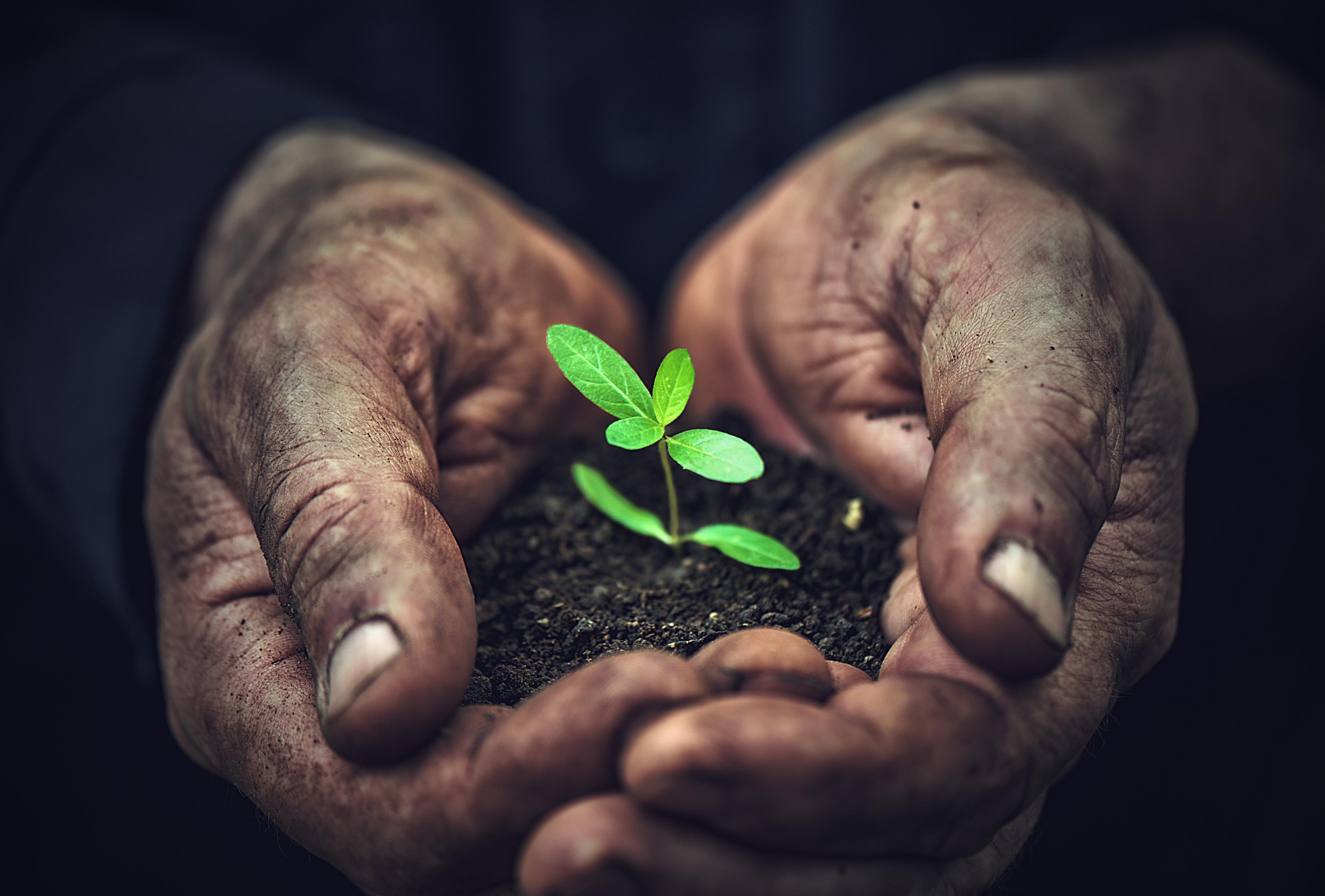 Gifts That Give Back (to Nature) | Conservation International