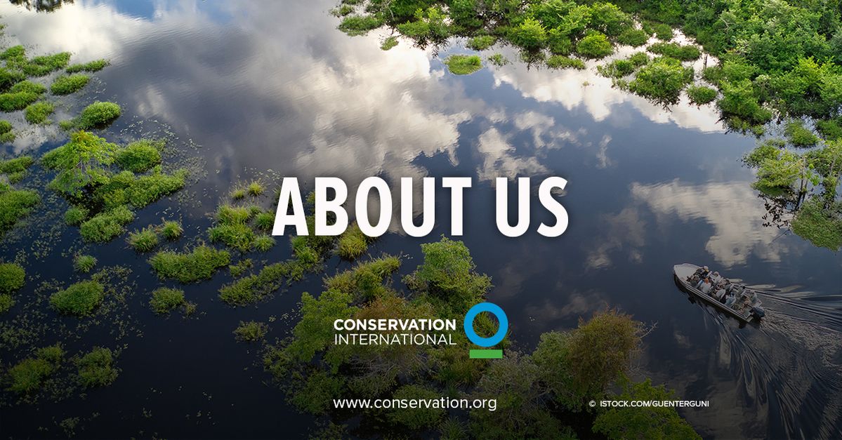 About Conservation International | Conservation International