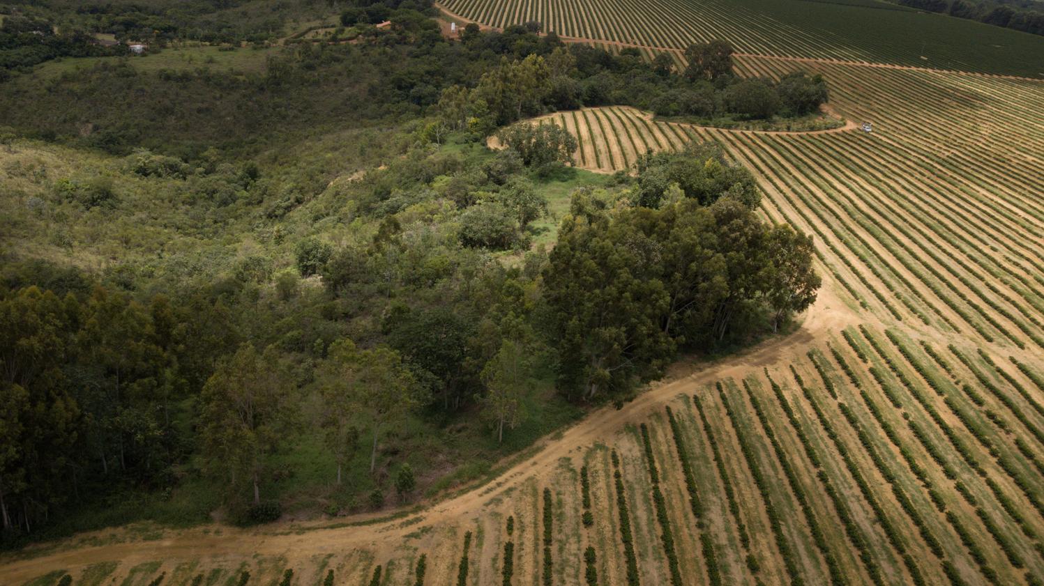 Critical Ecosystem Partnership Fund | Conservation International