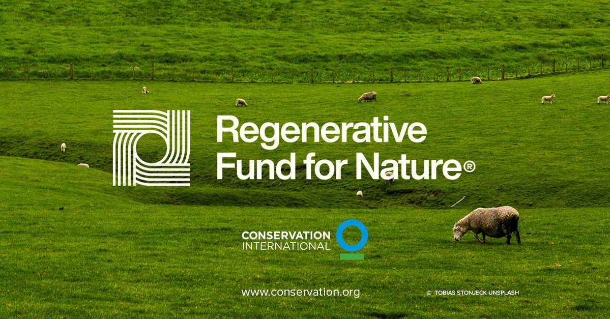 Regenerative Fund for Nature | Conservation International