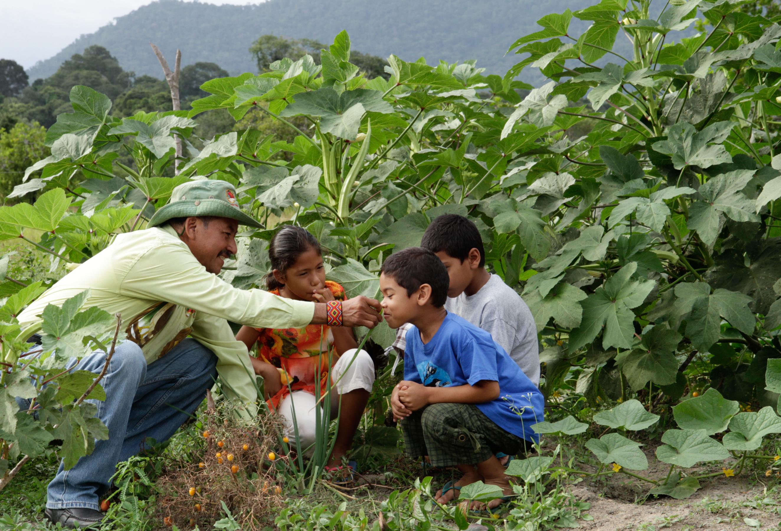 Inside the ancient traditions saving nature's last strongholds ...