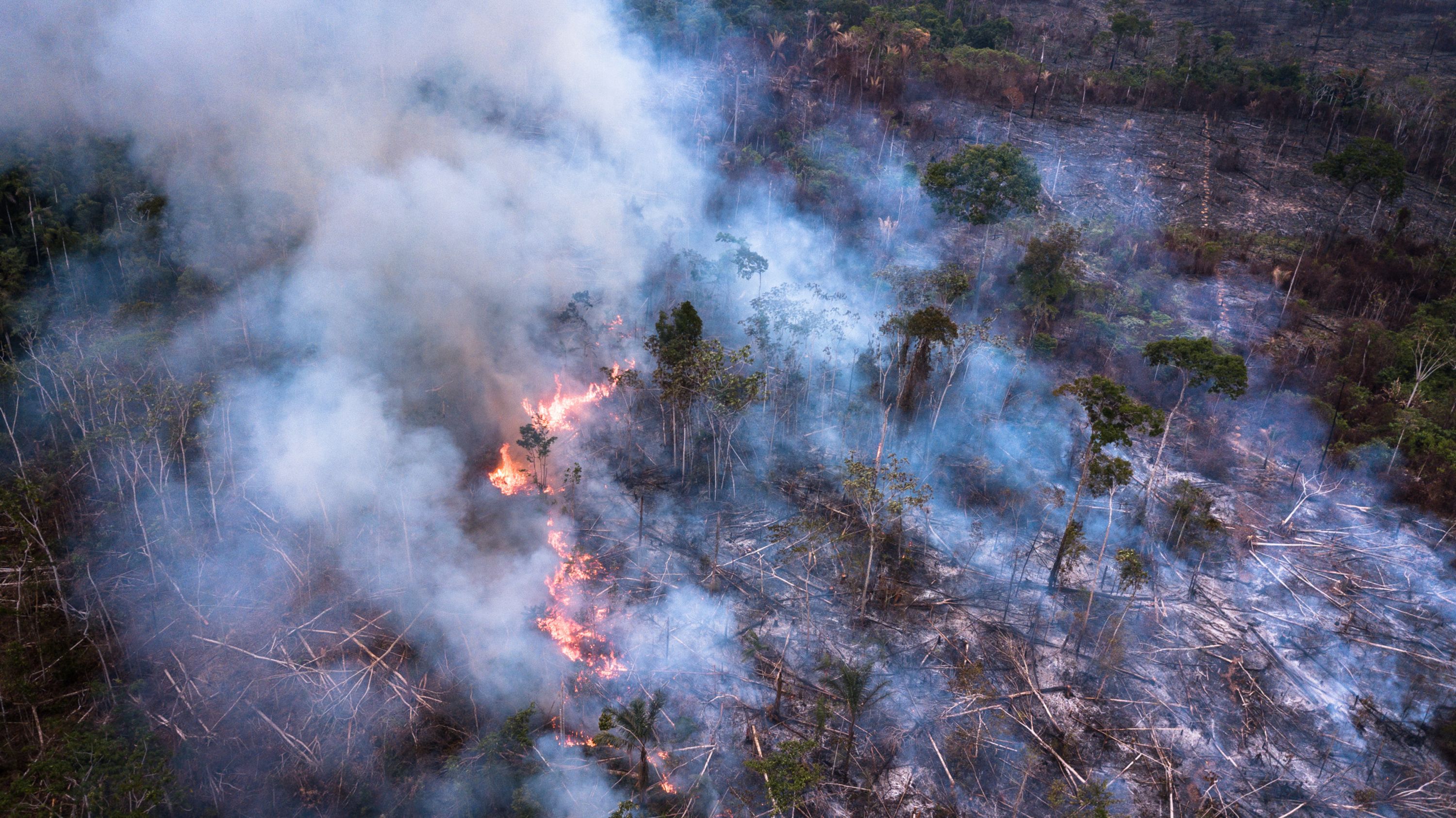 ‘Intense’ drought, fires pummel Amazon | Conservation International