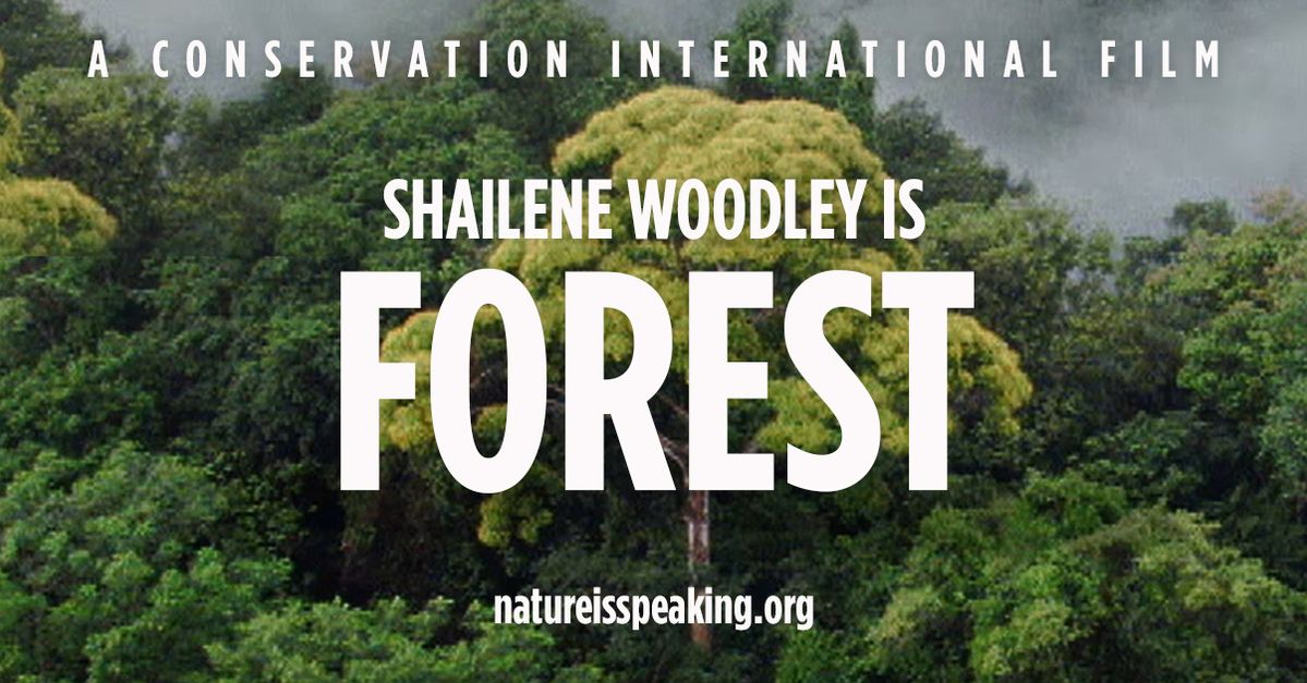 Shailene Woodley Is Forest | Conservation International