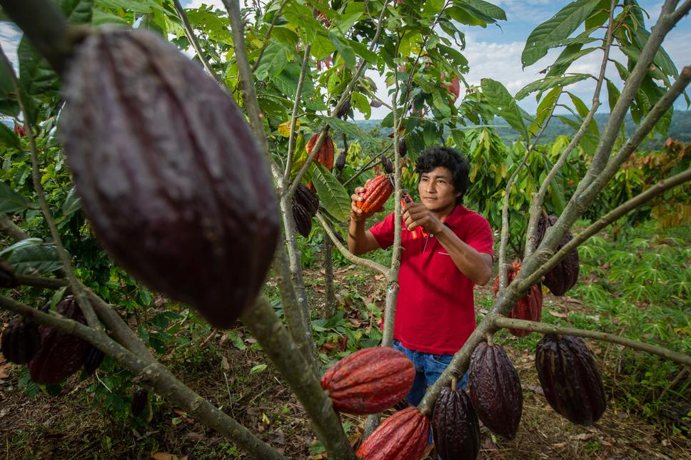 Awajun Indigenous communities | Conservación Internacional Perú