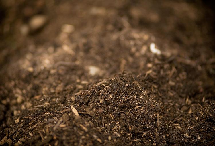 Study: One in five soil species face extinction | Conservation ...