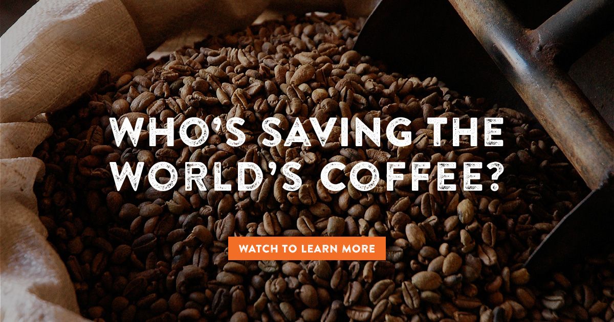 Sustainable Coffee Challenge | Conservation International