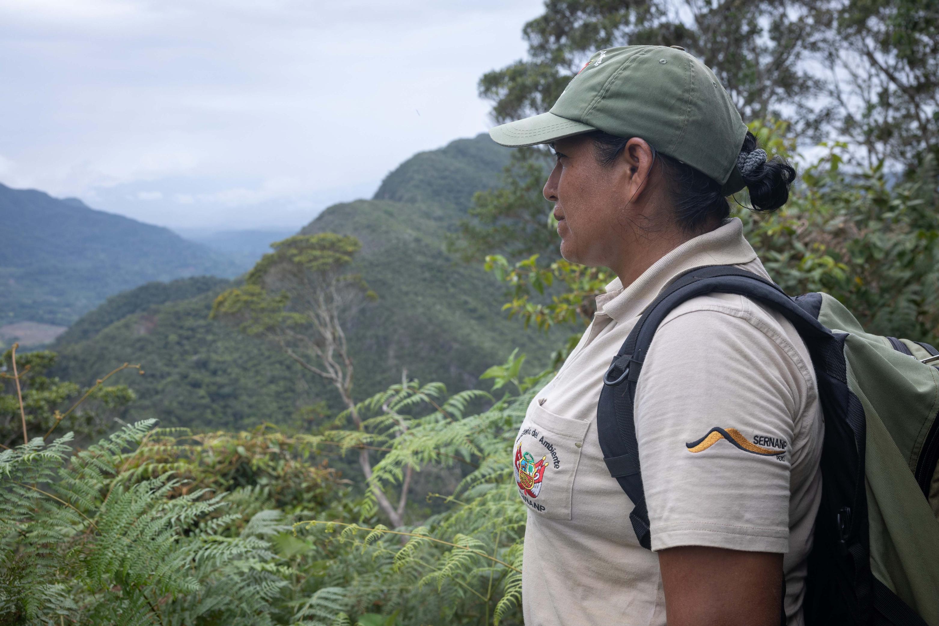 Meet the people bringing a Peruvian forest back to life | Conservation ...